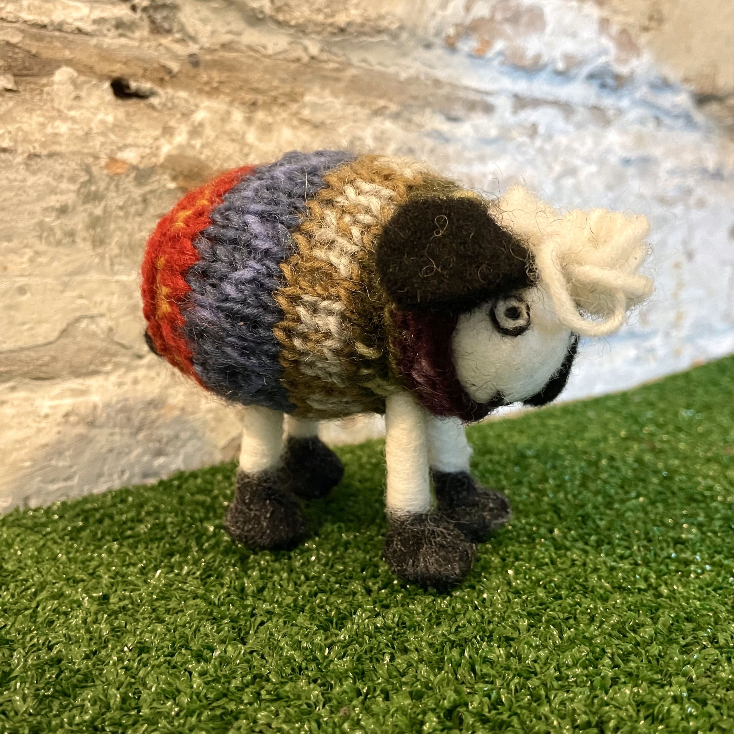 Tim The Sheep – The Nook Tenby