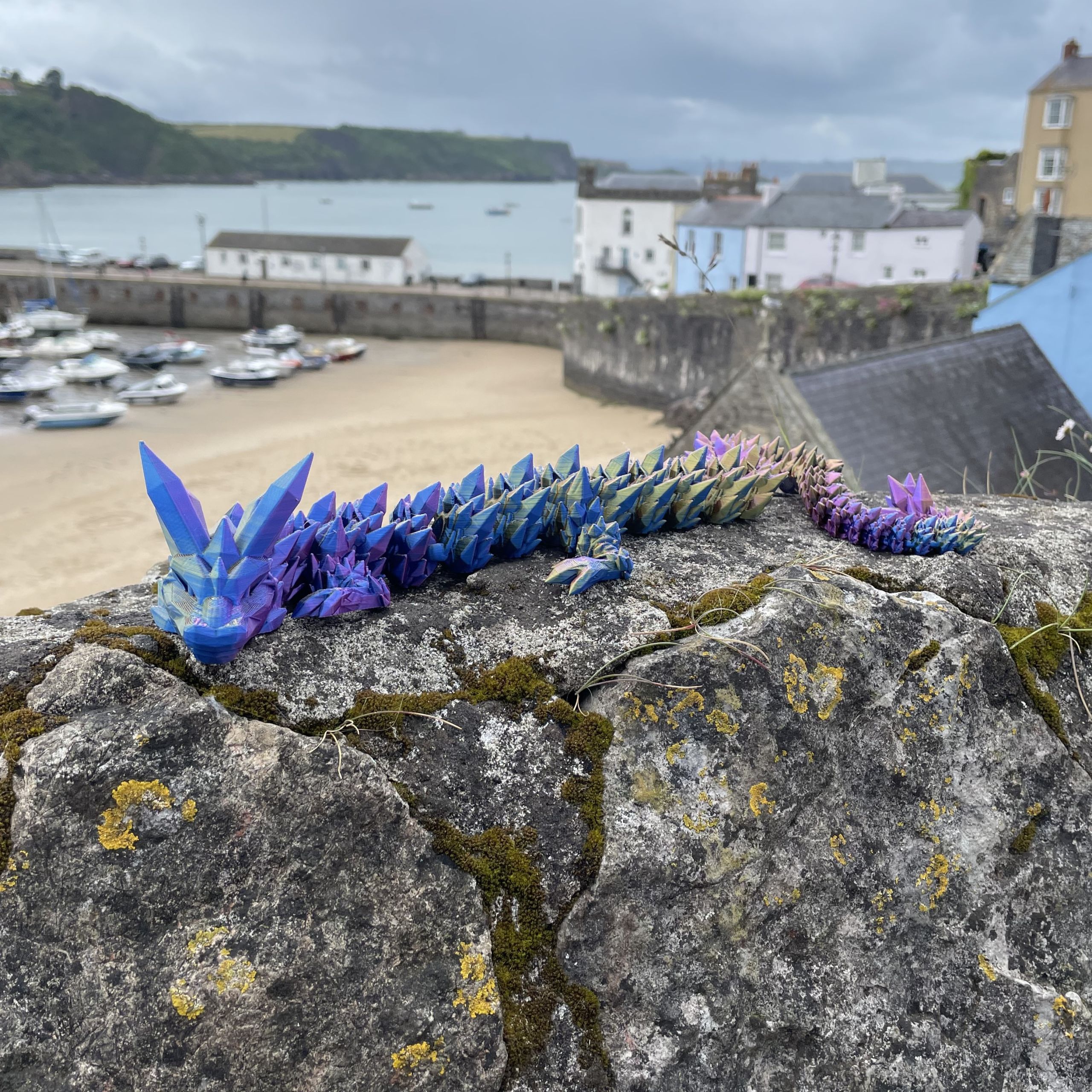 Long Dragons – The Nook Tenby