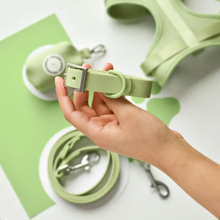 Matcha Dog Collar – The Nook Tenby